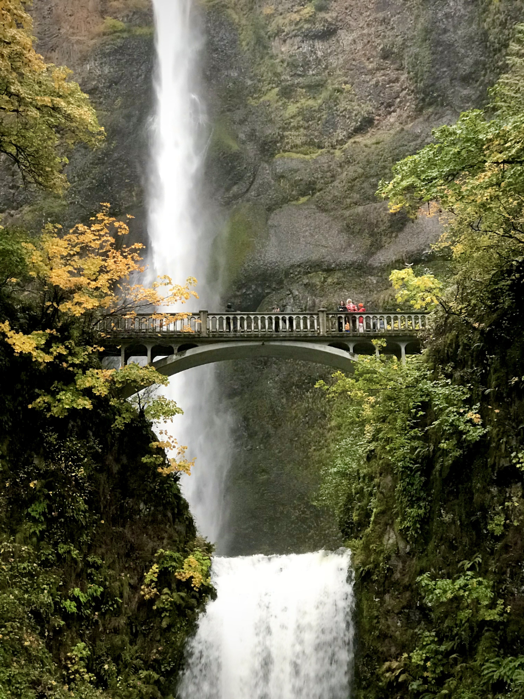 Multnomah Falls – Around Portland Tours