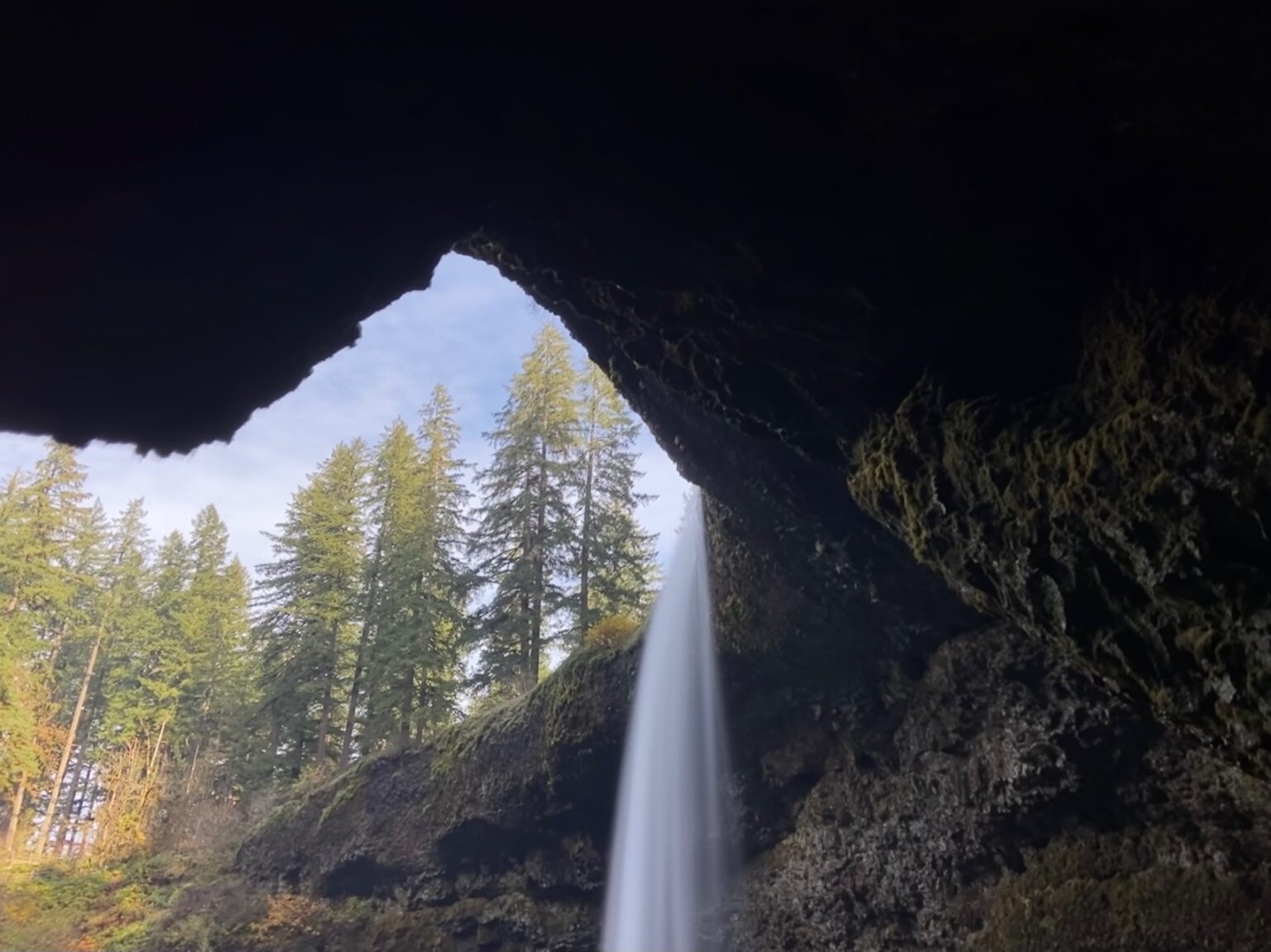 Silver Falls waterfall hiking tour – Around Portland Tours